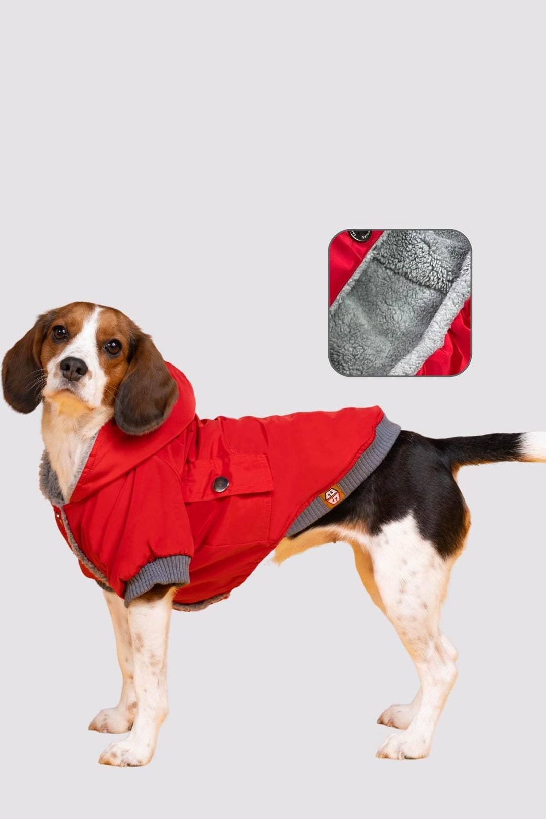 Dog Clothes, Intense Red Dog Coat - for Small Breeds (0-15 Kg) - Dog ...