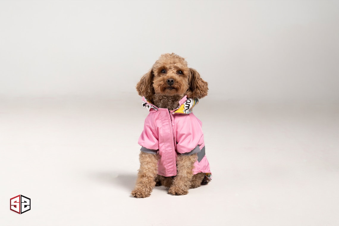 Neon Pink Design Dog Coat - for Small Breeds (0-15kg) - Dog Raincoat ...