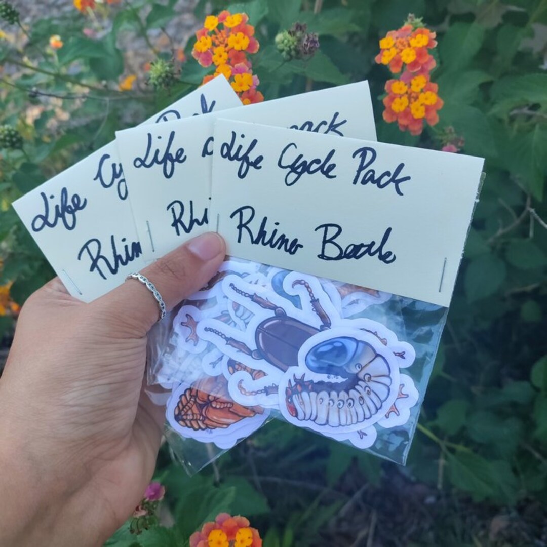 Rhino Beetle Life Cycle Sticker Pack - Etsy