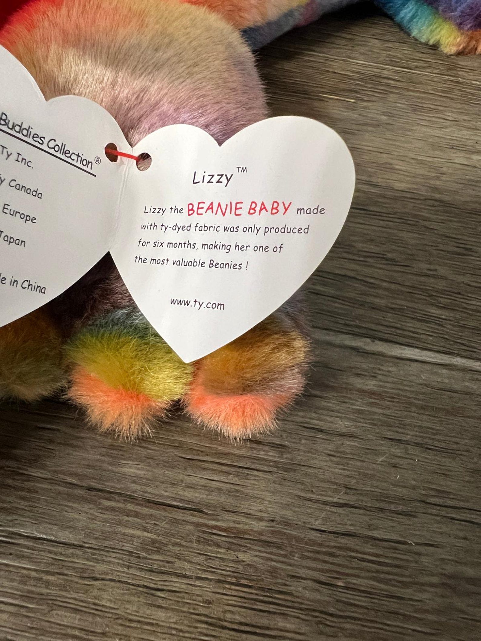 Vintage 1999 Ty Beanie Buddies Lizzy the Tye Dyed Lizard Plush - Etsy