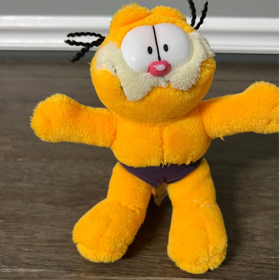 USA Funds Promo Vintage Garfield Plush in Bathing Suit - Etsy