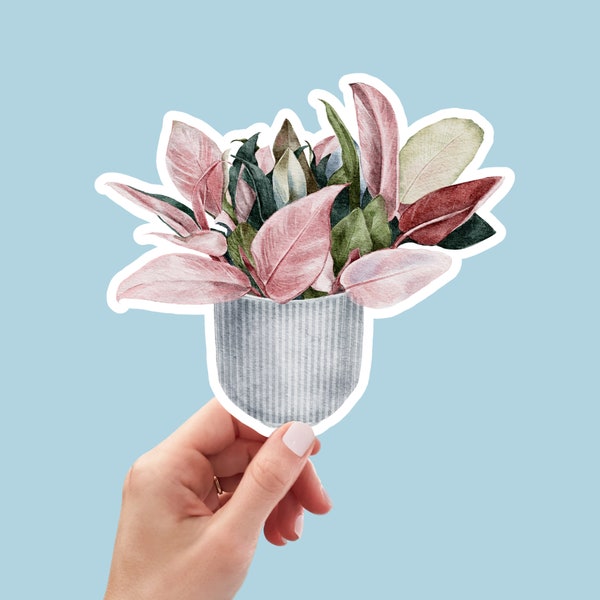 Plant Stickers - Etsy UK