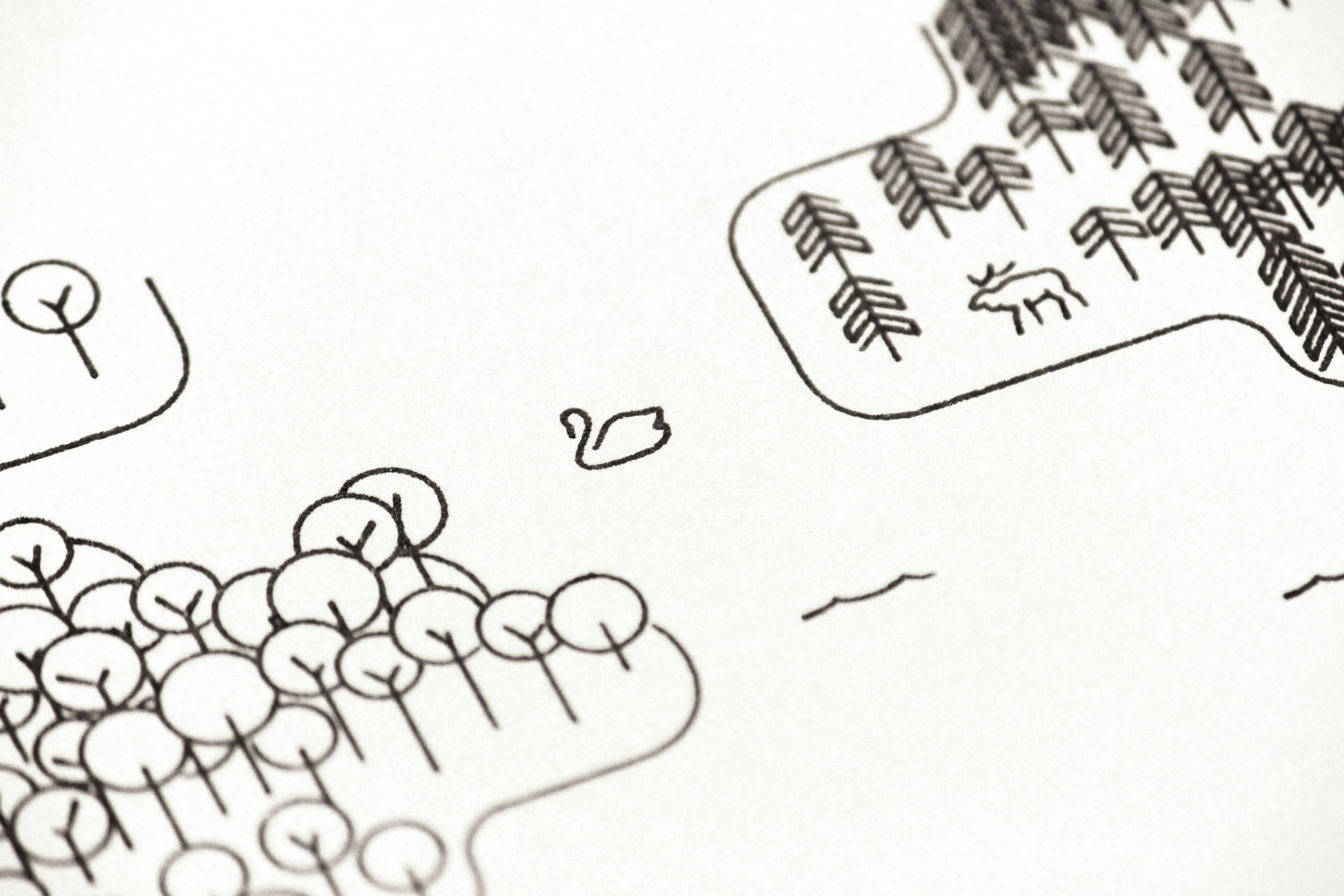 Biomes A4 Poster, Unframed Plotter Art - Etsy