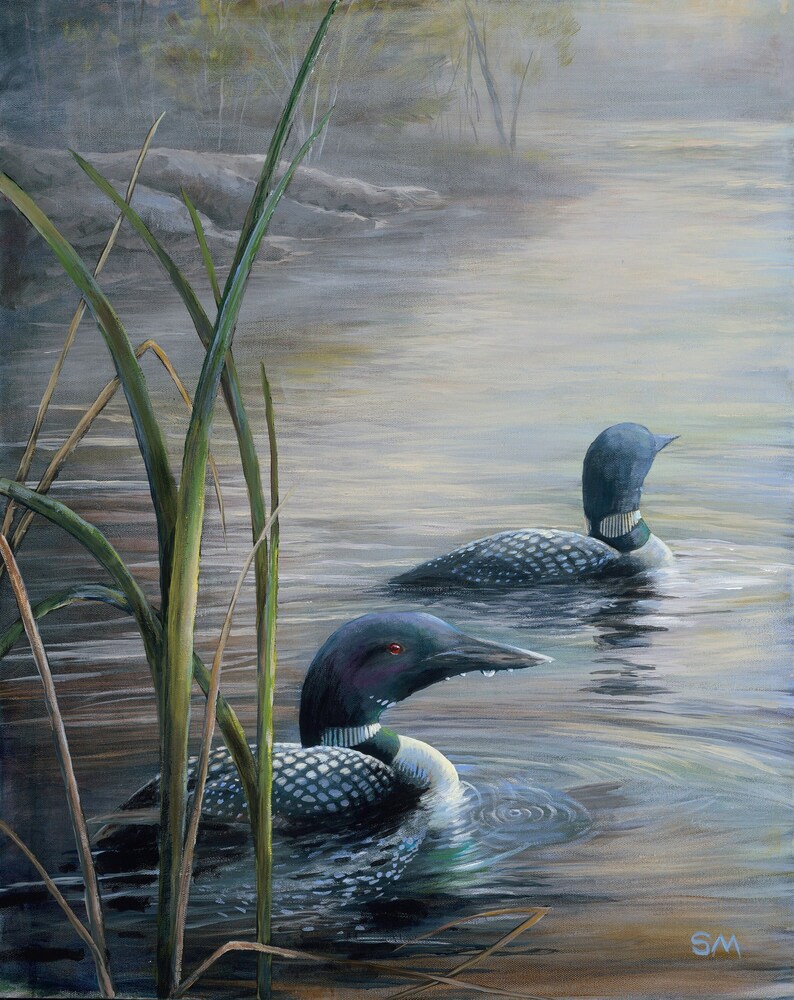 Common Loons Original - Etsy