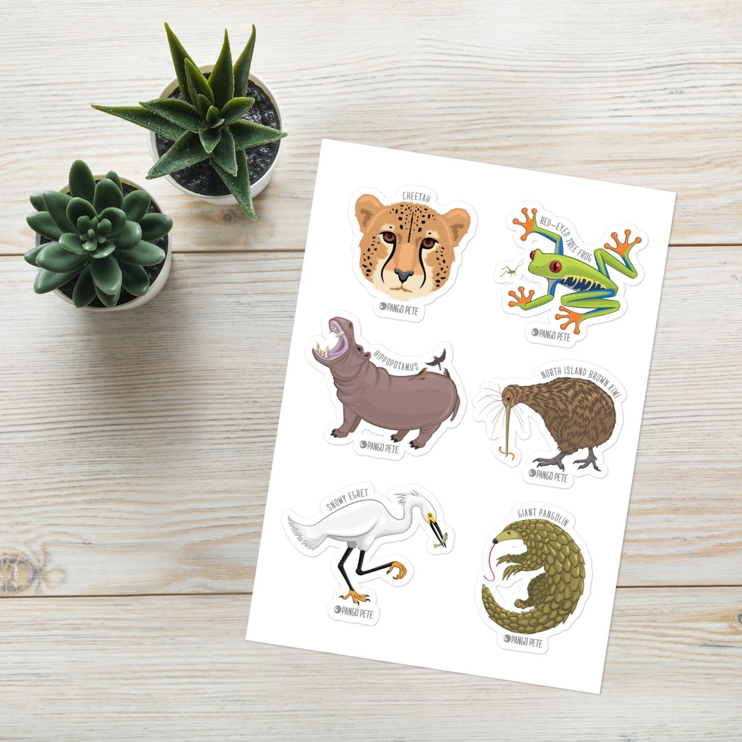 Variety Pack Sticker Sheet 1 - Etsy