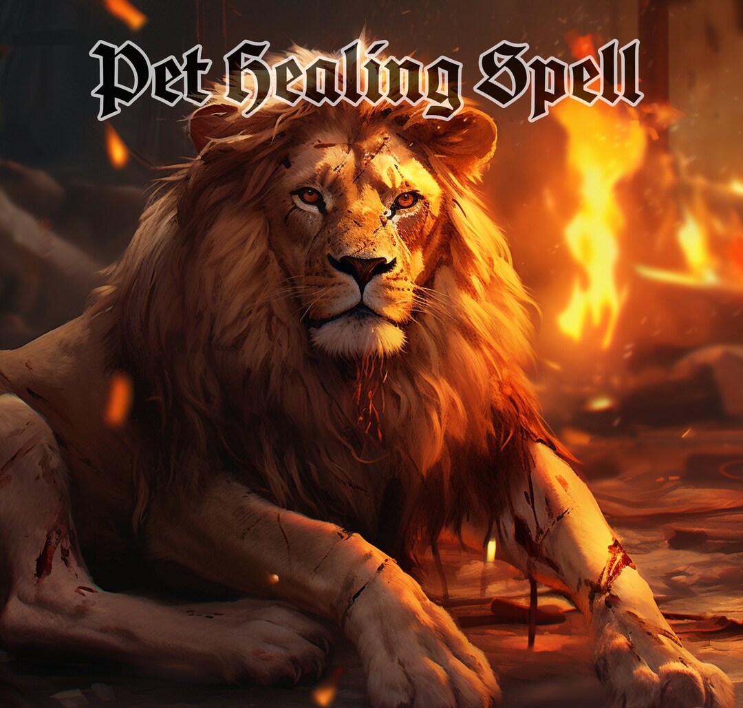 Pet Healing Spell - Heal Sick or Injured Pet - Same Day Spell Work - - Etsy