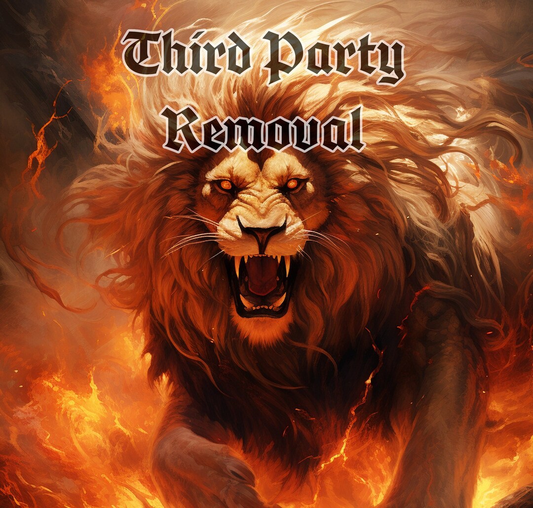 Third-party Removal - Disconnect the Unwanted Energies - Same Day ...