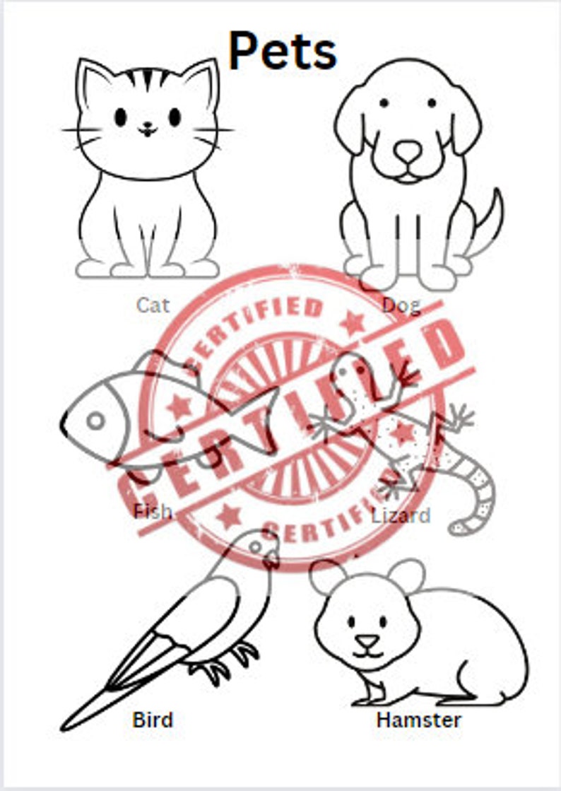 Coloring Pages Vocabulary Early Education - Etsy