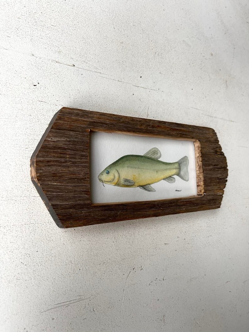 Watercolour Art Green Fish With Rustic Timber Frame - Etsy