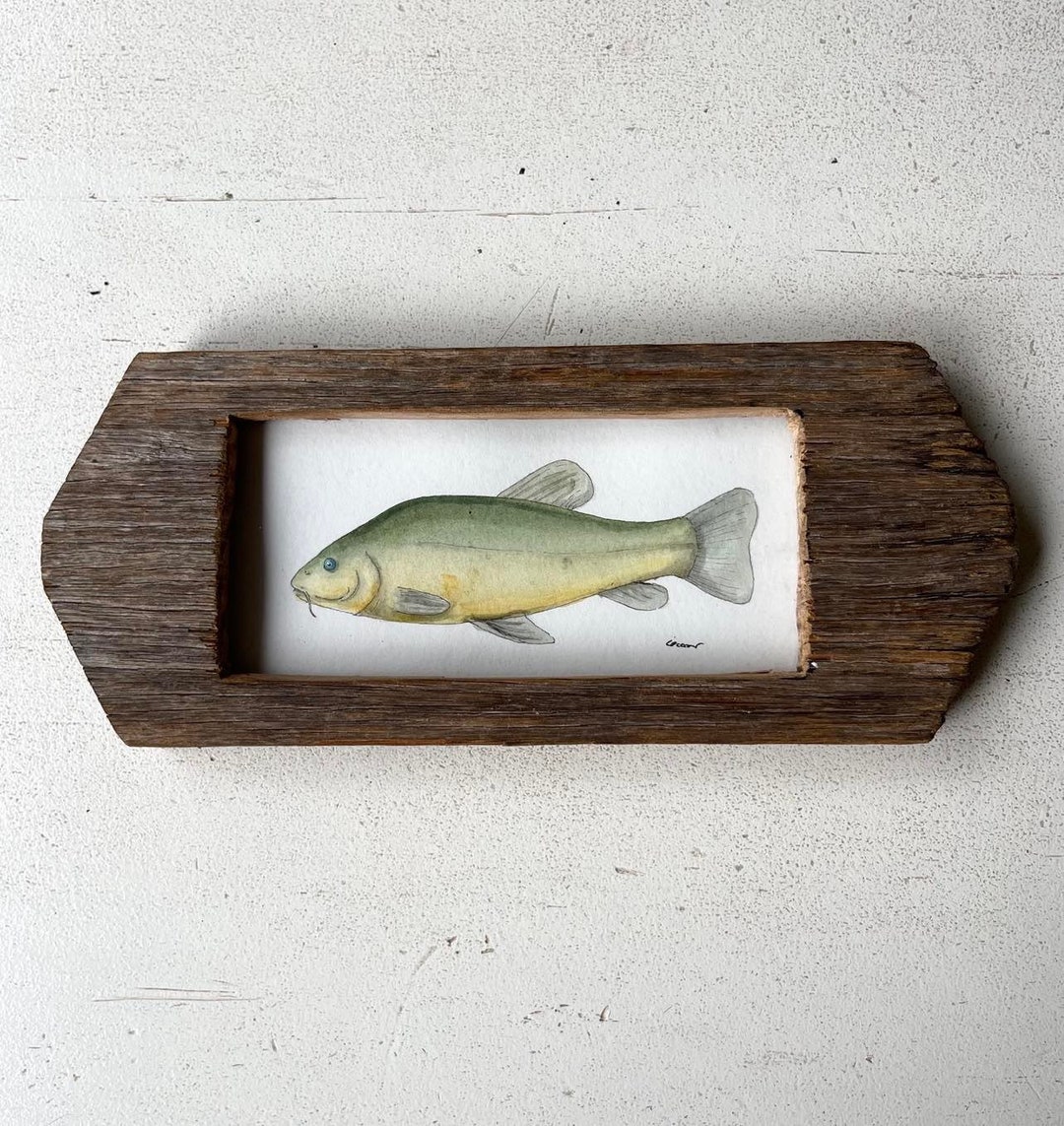 Watercolour Art Green Fish With Rustic Timber Frame - Etsy