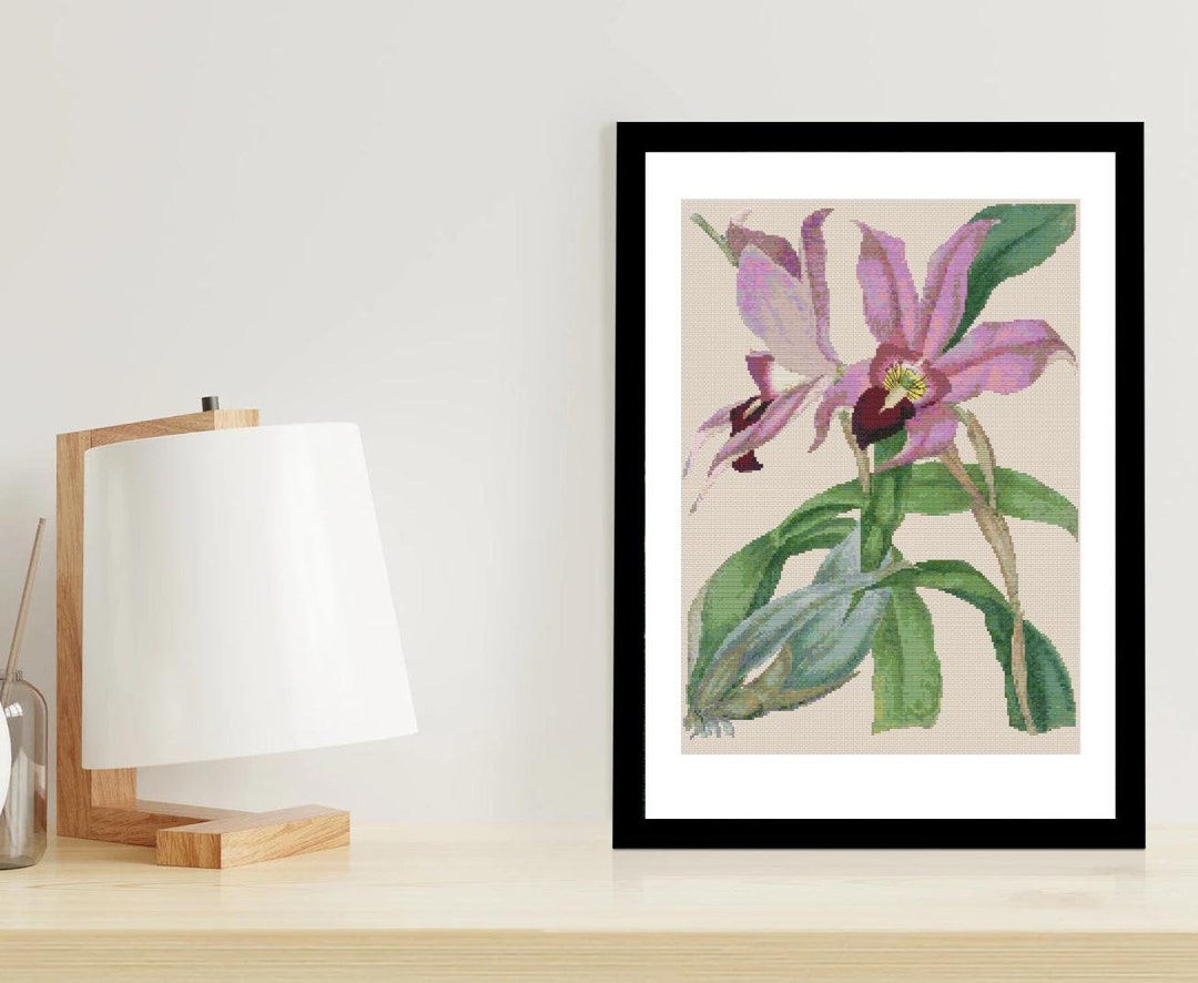 Orchard Botantical Drawing Counted Cross Stitch Pattern - Etsy