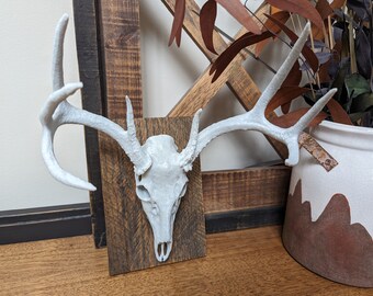 3D Deer Skull - Etsy