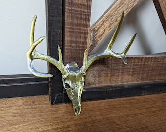 Deer Replica Partial Skull Kit to Mount Antlers On. NO ANTLERS INCLUDED ...