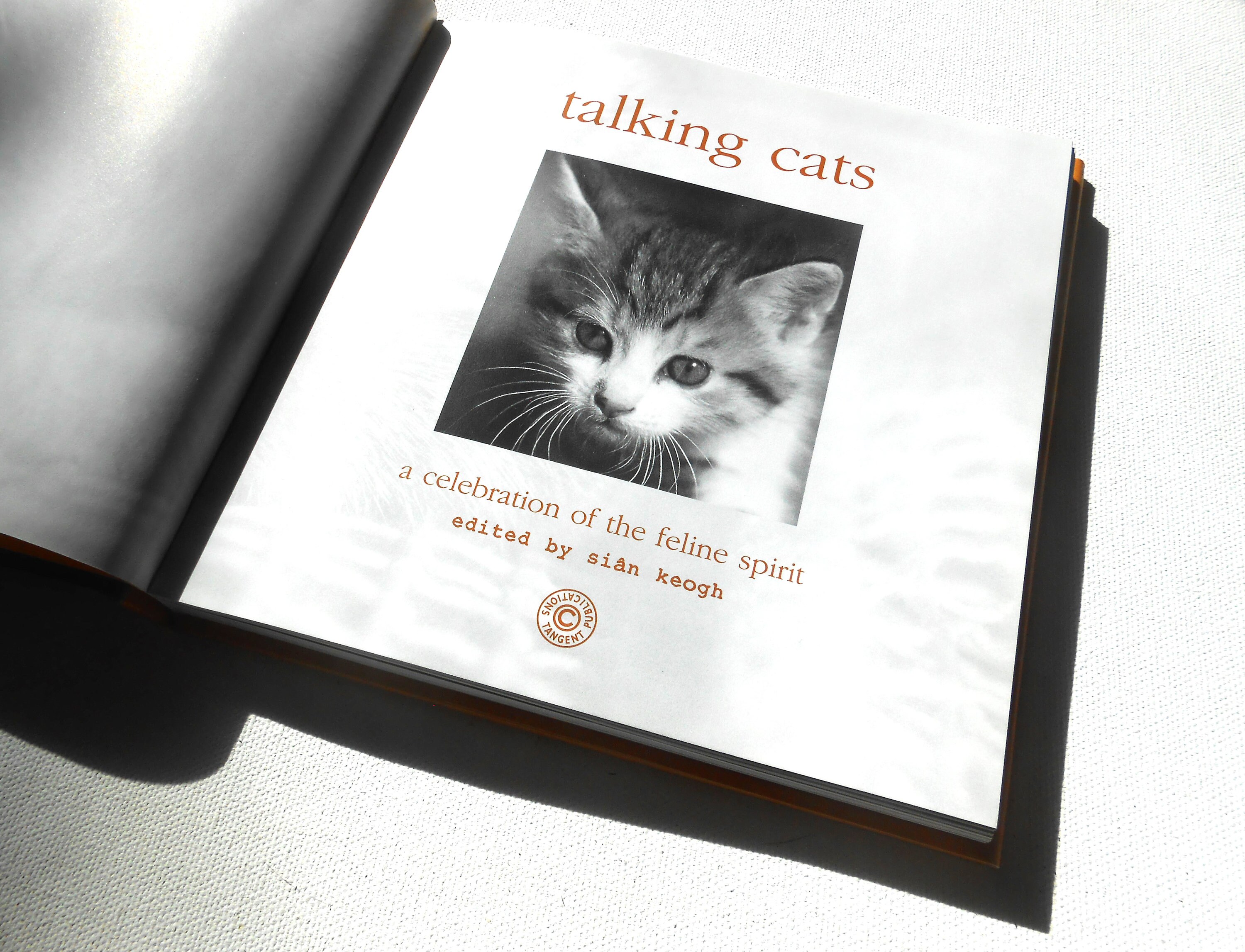Talking Cats: A Celebration of the Feline Spirit Sian Keogh / CATS ...