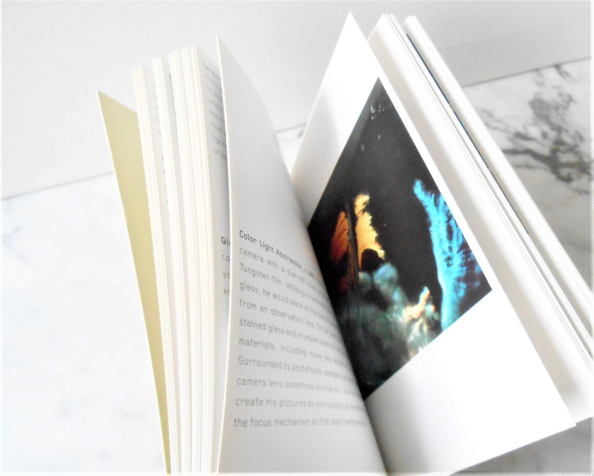Wynn BULLOCK Chris Johnson / PHOTOGRAPHY / ART / phaidon 55s 2001 ...