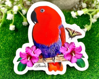 Eclectus Parrot Vinyl Sticker, Bird Illustration, Nature Aesthetic ...