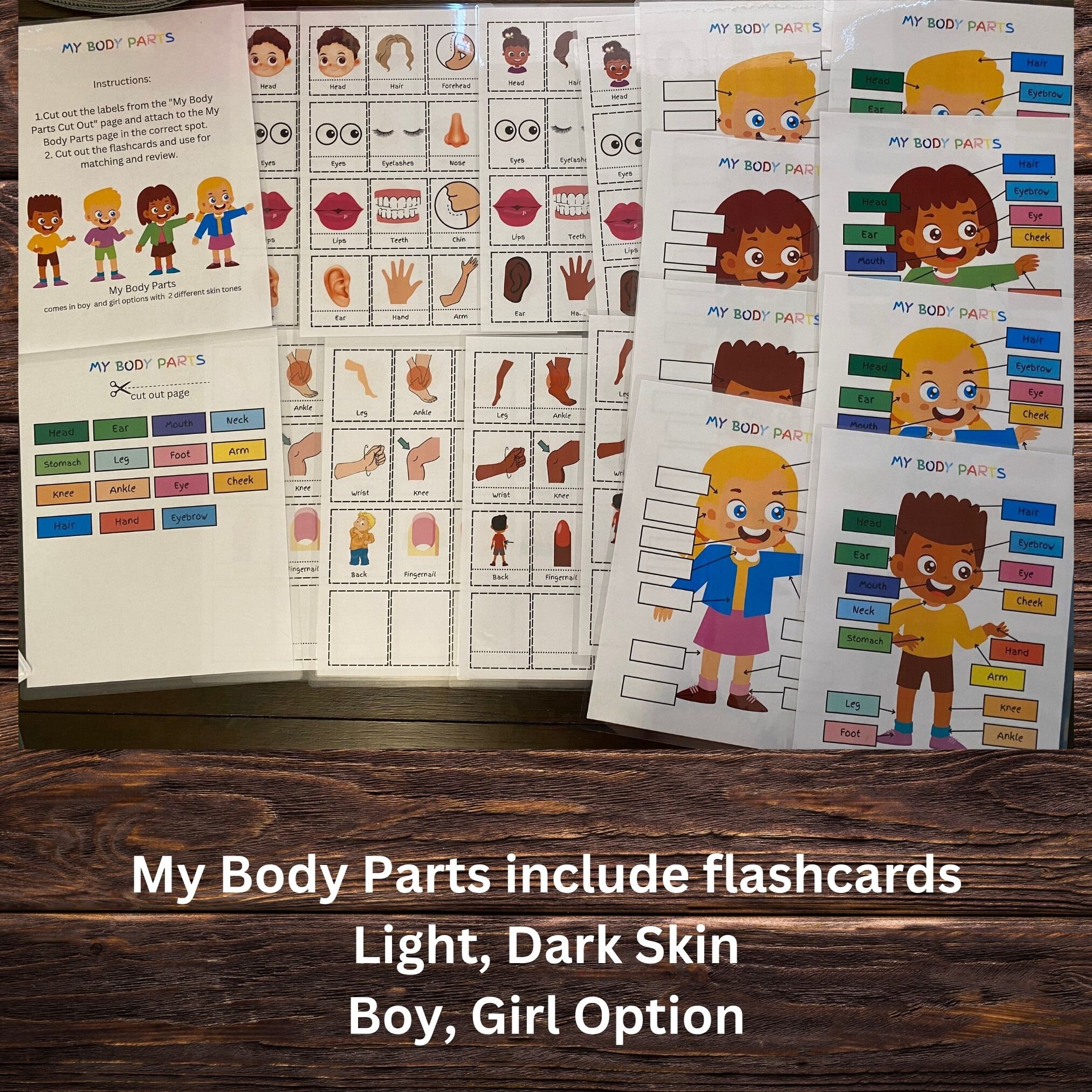 Human Anatomy Busy Book Printable Preschool Worksheets Homeschool ...
