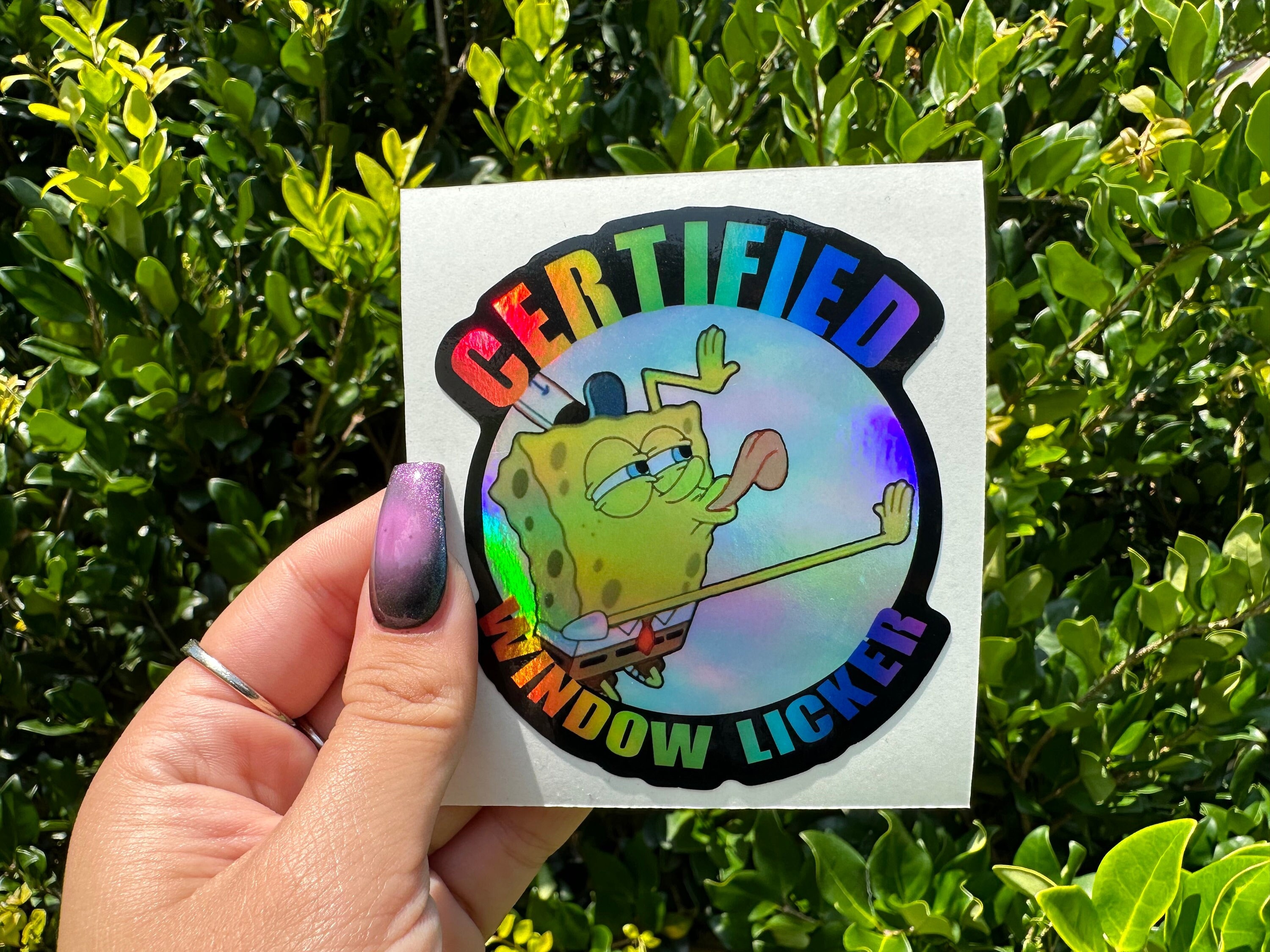 Certified Window Licker Decal - Etsy