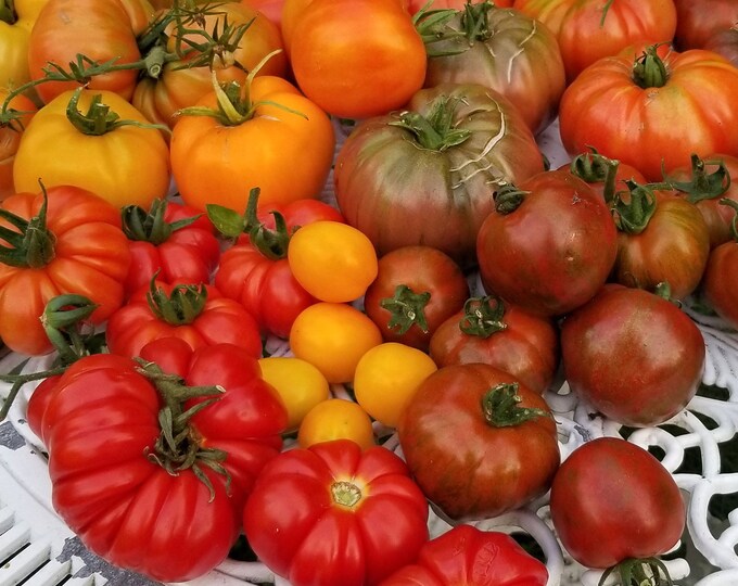 Ultimate Melon Collection - 125+ Melon Seeds -heirloom All Canadian ...