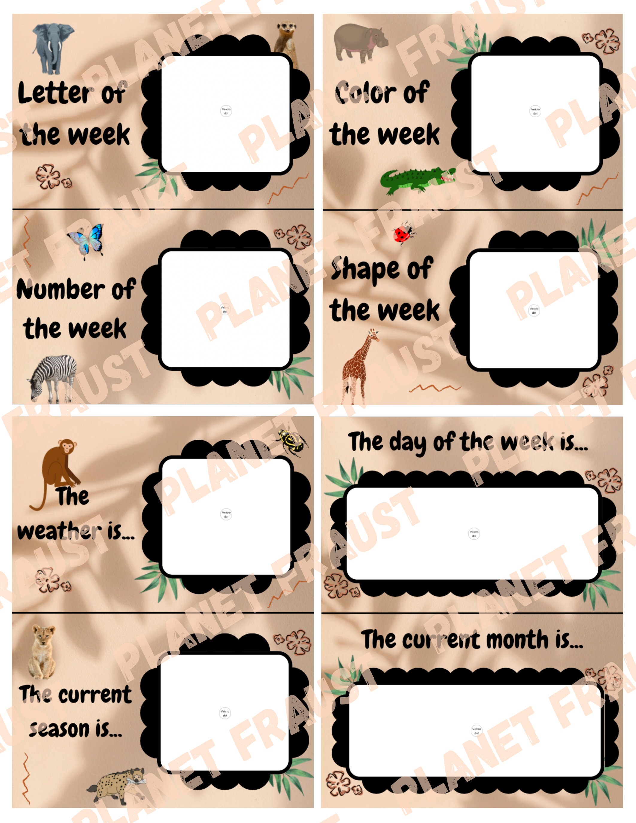 Focus Wall Bundle (safari Theme) | Circle Time Wall | Daycare Learning ...