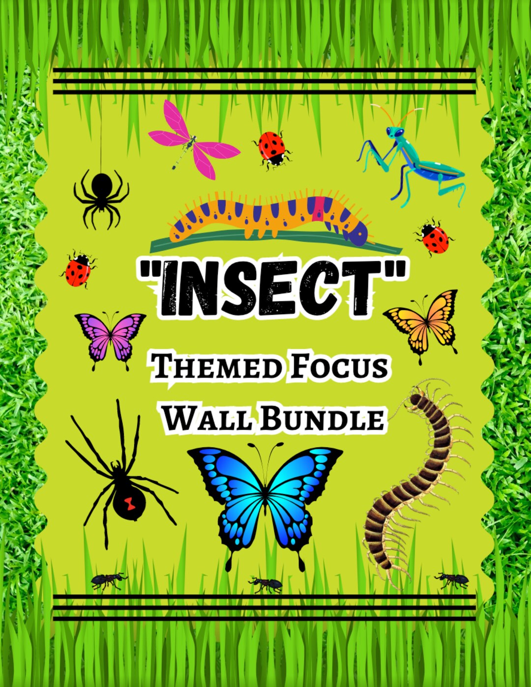 Focus Wall Bundle insect Theme Circle Time Wall Daycare - Etsy