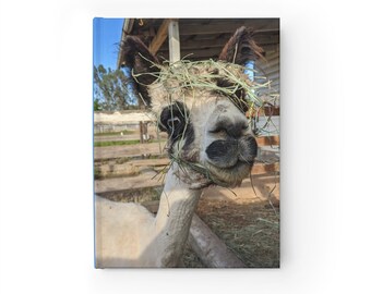 Funny Grass Head - Etsy