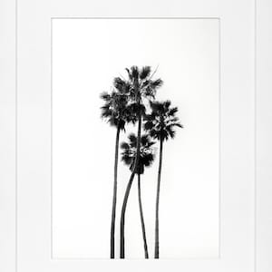 Fine Art Print: Wild Palm Trees - Etsy