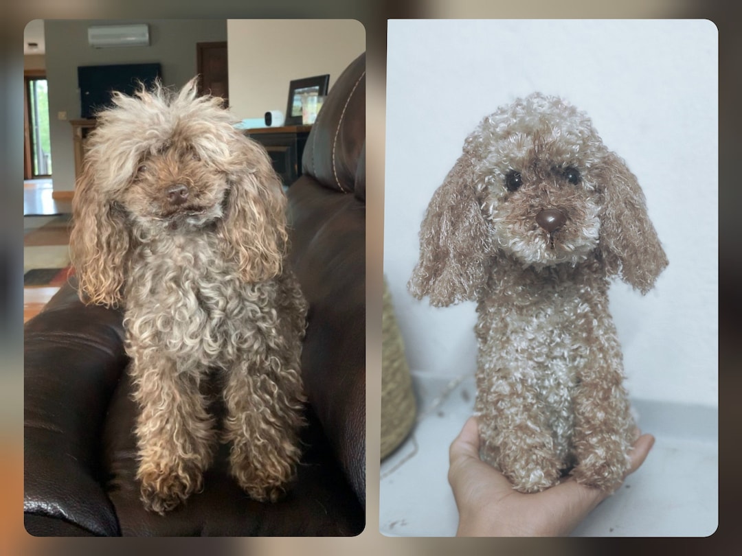 Custom Stuffed Dog, Custom Dog Plush, Custom Crochet Dog, Custom Pet ...