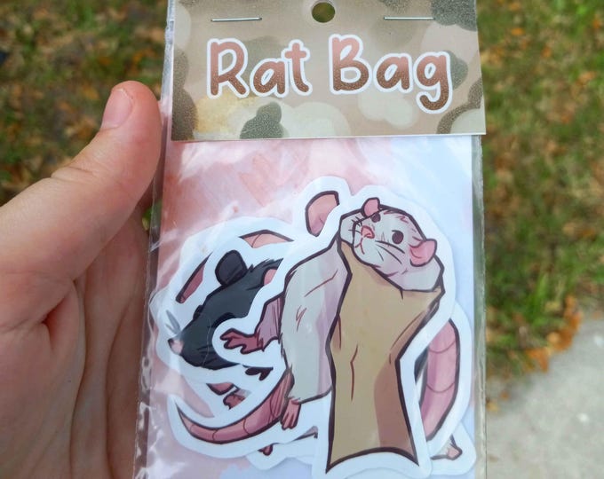 Rat Vinyl Sticker Pack - Etsy