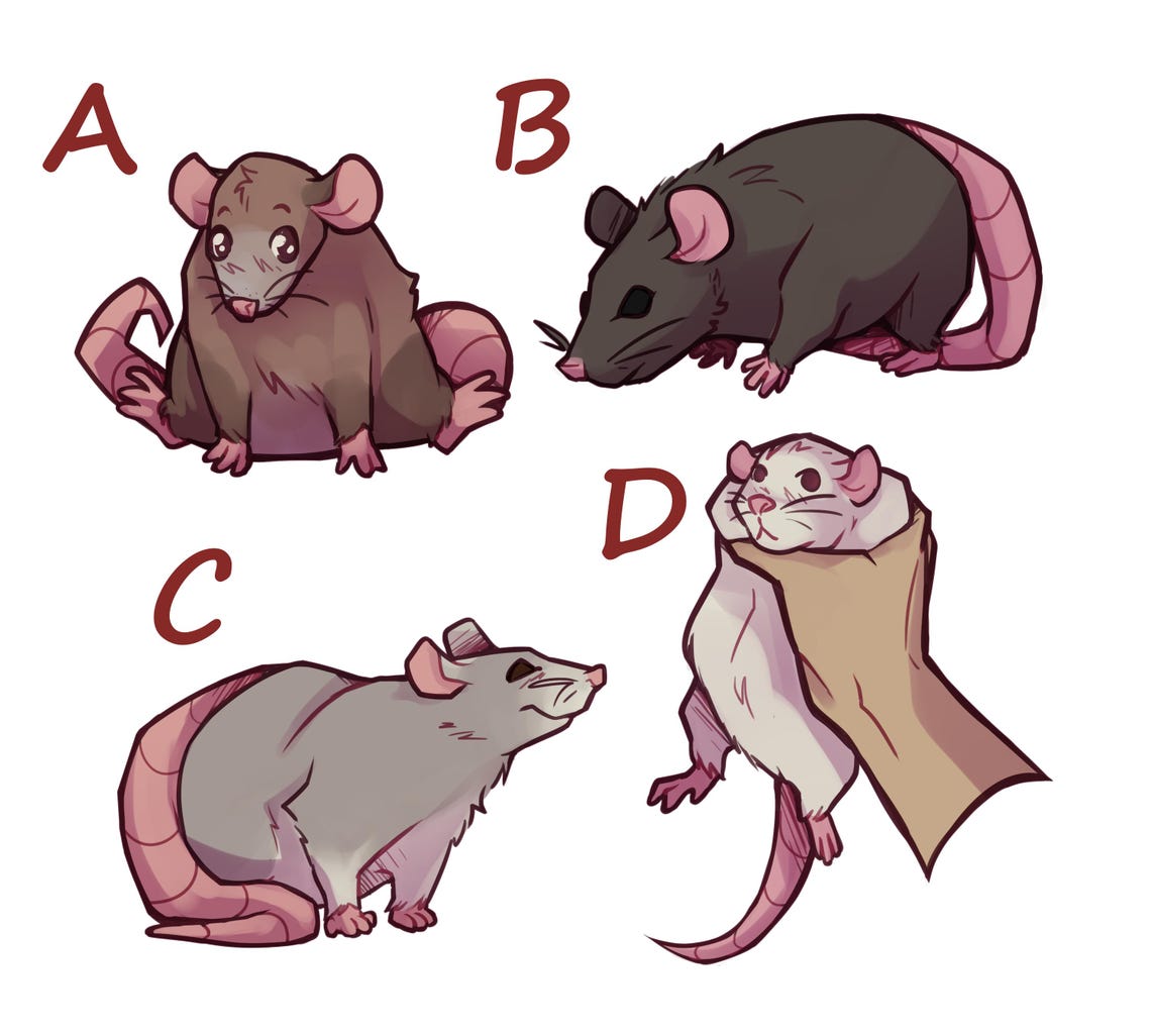 Rat Vinyl Sticker Pack - Etsy