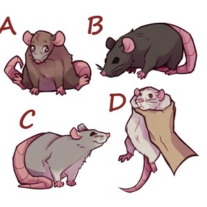 Rat Vinyl Sticker Pack - Etsy