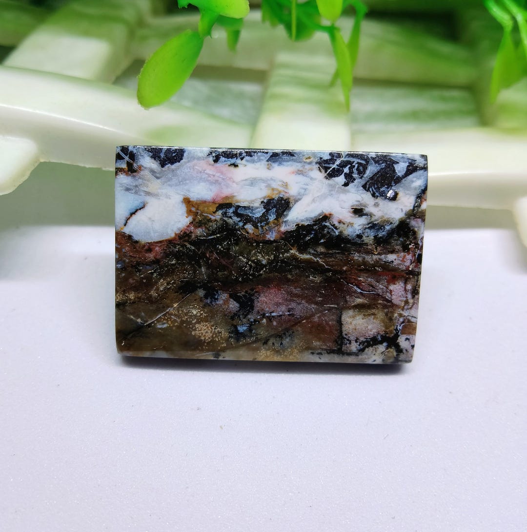 Scenic Opalized Petrified Wood - Etsy