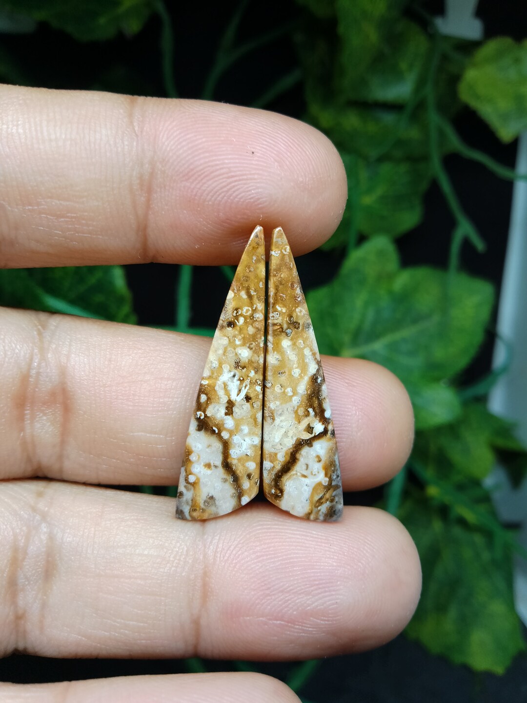 Rare Fossilized Palm Root Pair - Etsy