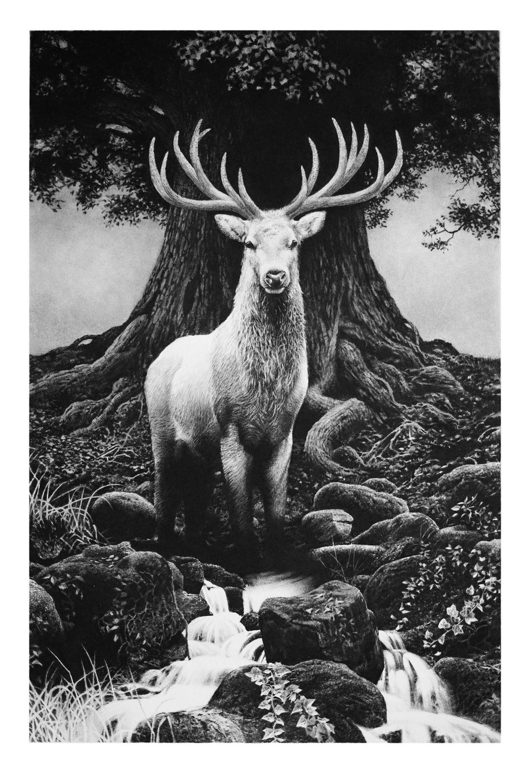 The White Hart, Stag, Charcoal Art Print, Stag Print - Etsy