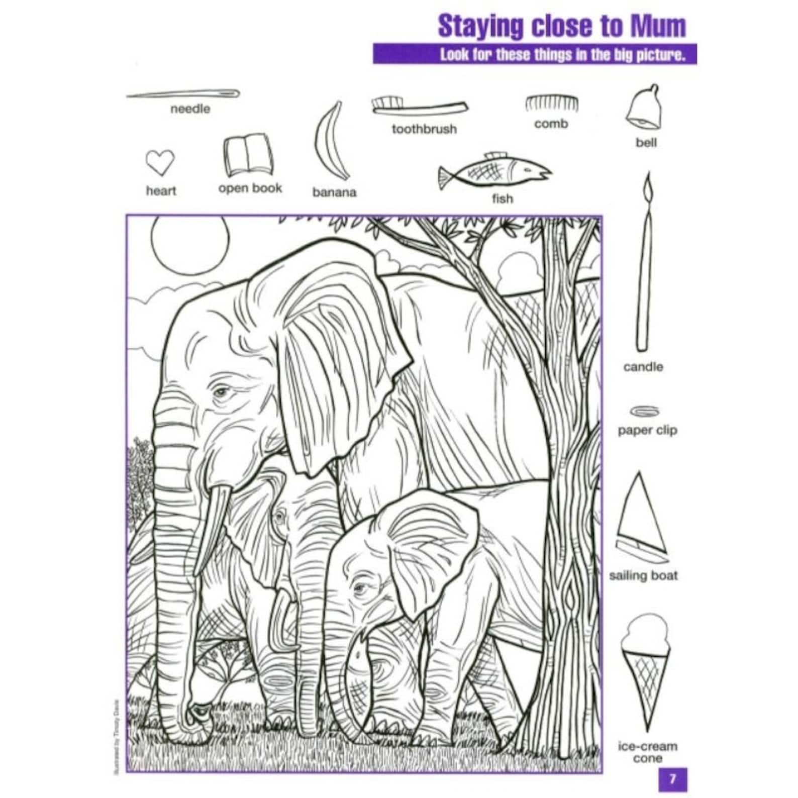 Find the Hidden Pictures Activity for Children PDF With Answers ...