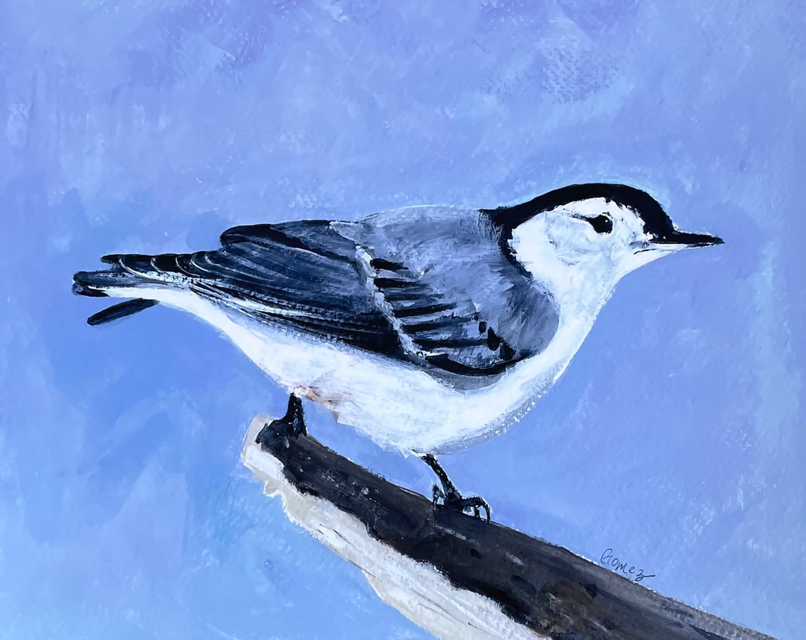 Nuthatch: Original Acrylic Painting 8x10 Giclée Print | Jill Gomez - Etsy