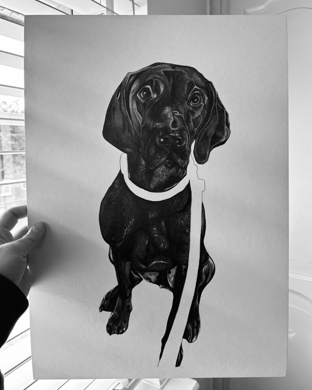Custom Double Pet Portrait, 297mm X 420mm - Etsy