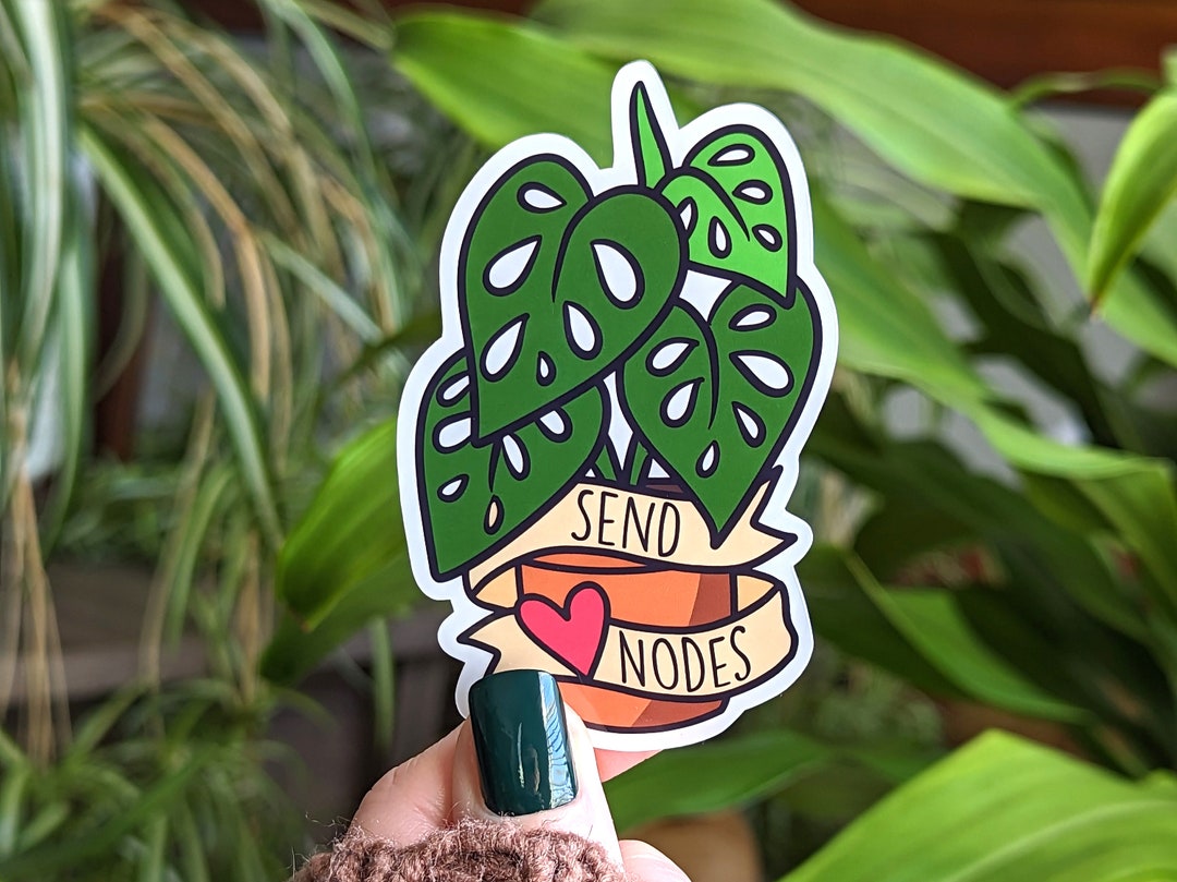 Send Nodes Monstera Sticker, Funny and Sarcastic Plant Sticker, Perfect ...