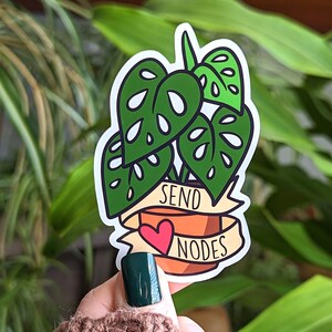 Send Nodes Monstera Sticker, Funny and Sarcastic Plant Sticker, Perfect ...