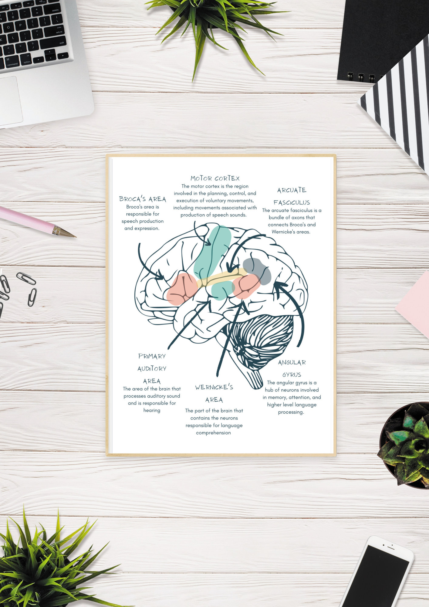 Speech Therapy Room Posters, Speech Language Pathology Gift, SLP ...