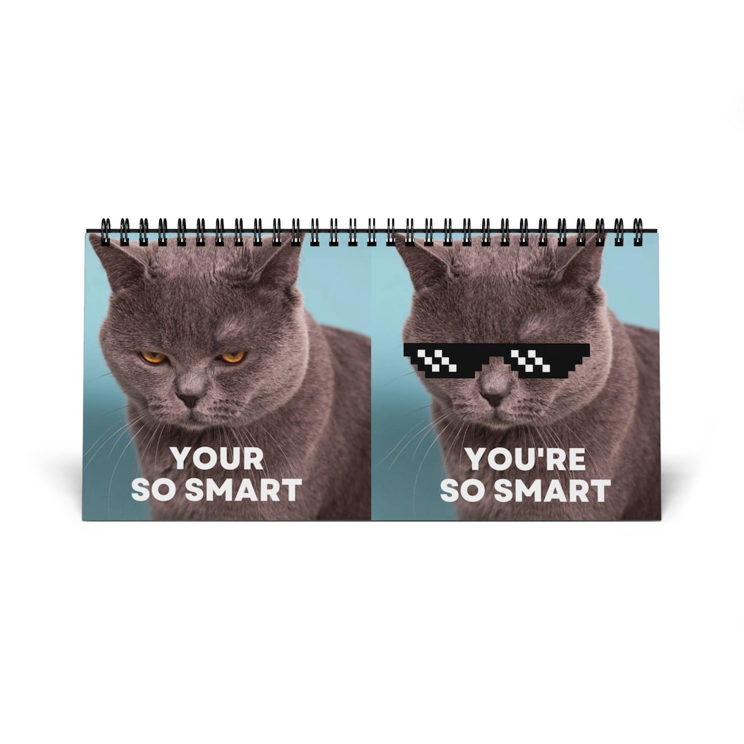 Funny Cat Memes Desktop Calendar 2026 - Etsy