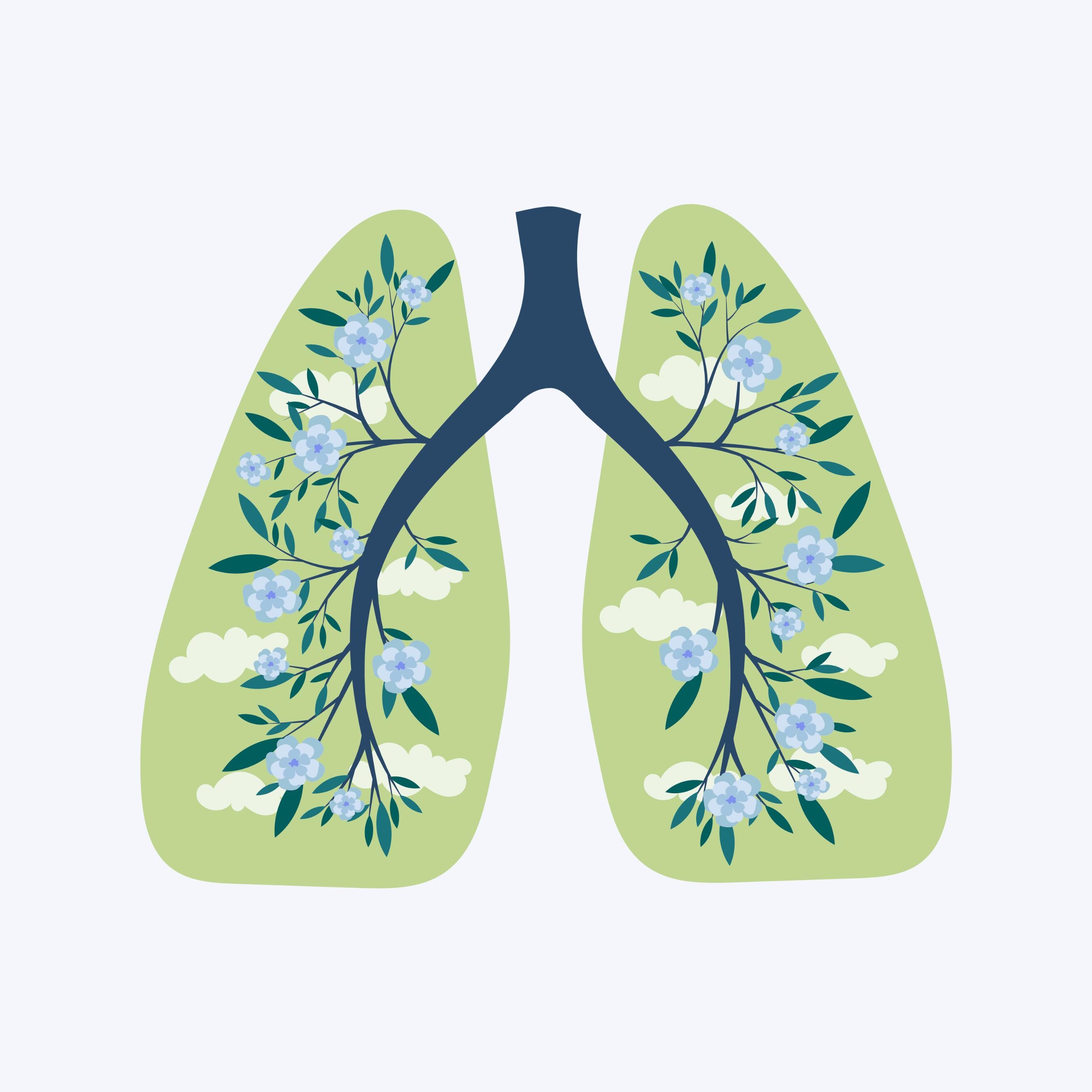 Green Floral Lungs PNG | Botanical Lungs Clipart | Breath of Life ...