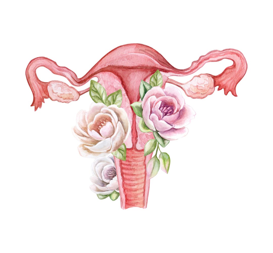 Watercolor Uterus PNG | Floral Uterus Clipart | Women’s Health ...