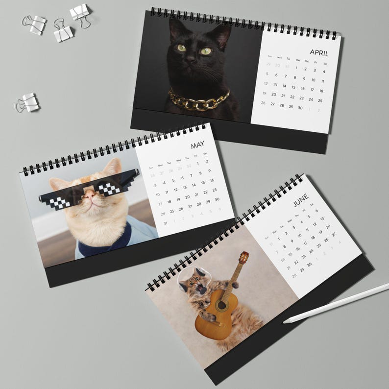 Funny Cat Memes Desktop Calendar 2026 - Etsy UK