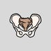 Pelvis Anatomy PNG | Realistic Pelvic Bone Clipart (digital Download ...