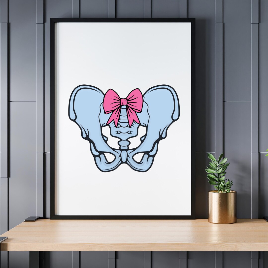 Pastel Blue Pelvic Floor PNG | Pink Bow Anatomy Clipart (digital ...
