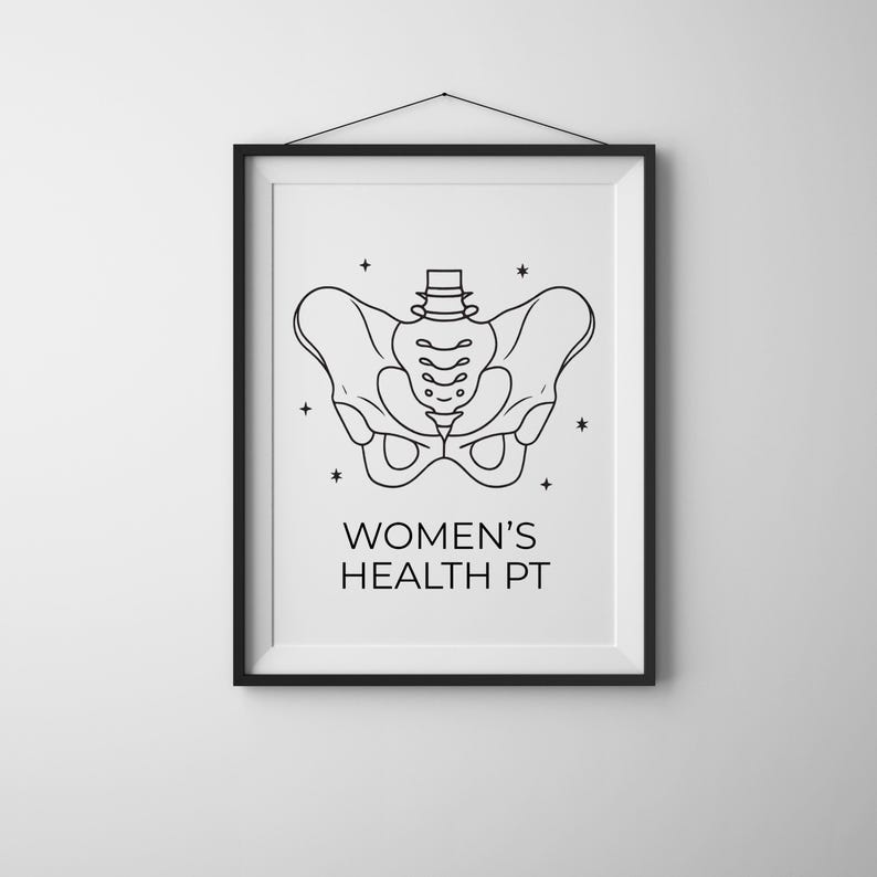 Pelvic Floor Anatomy PNG | Women's Health PT Clipart (digital File) - Etsy
