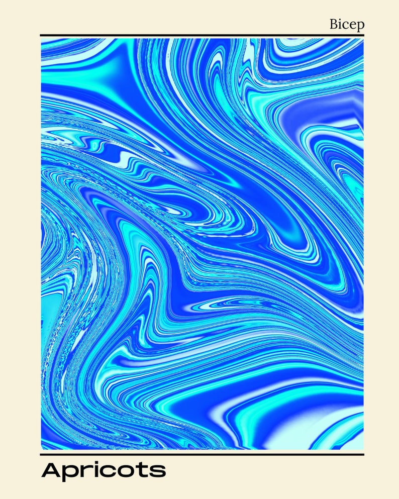 Bicep Apricots Poster Trippy House Music Wall Art Print Wavy Fun EDM ...