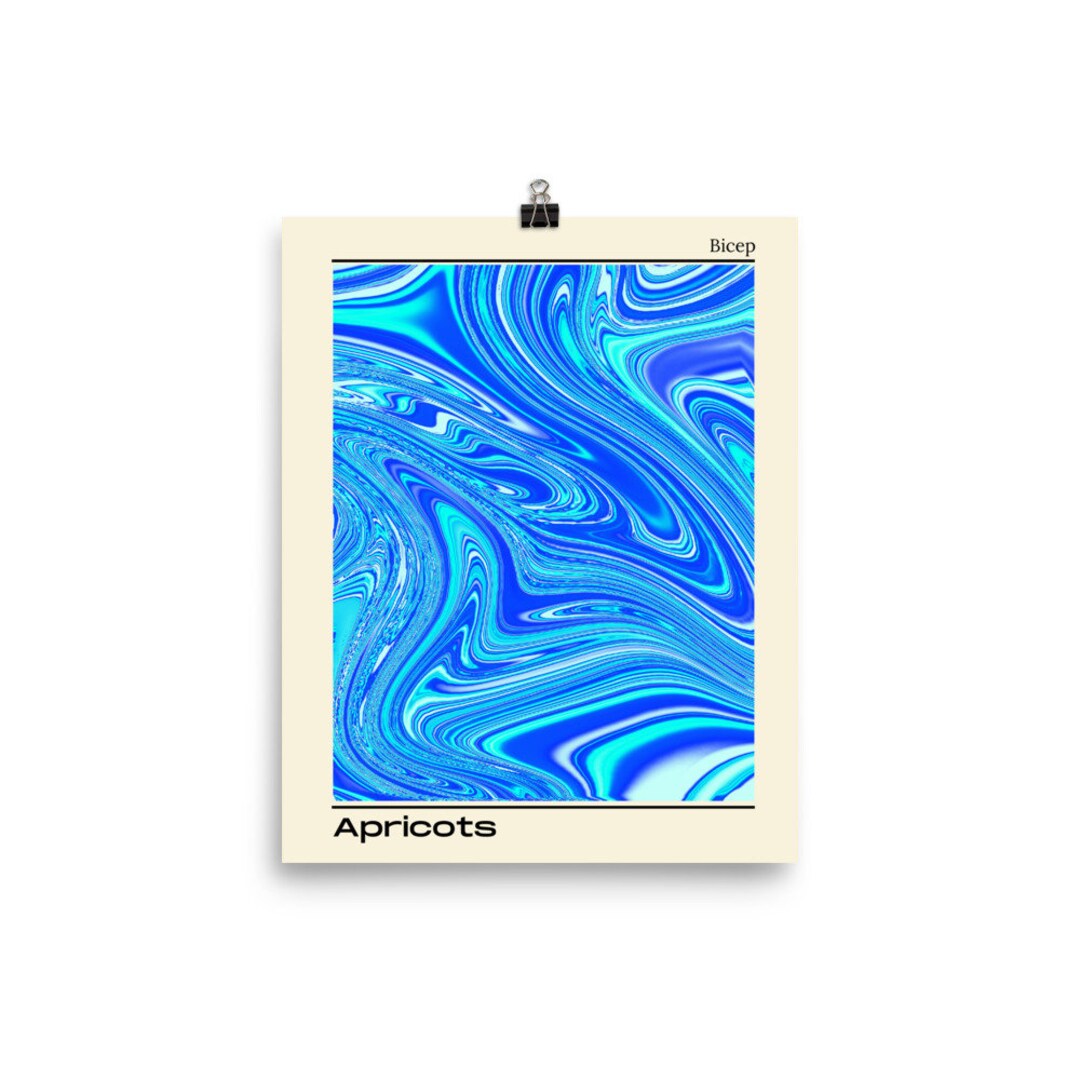 Bicep Apricots Poster Trippy House Music Wall Art Print Wavy Fun EDM ...