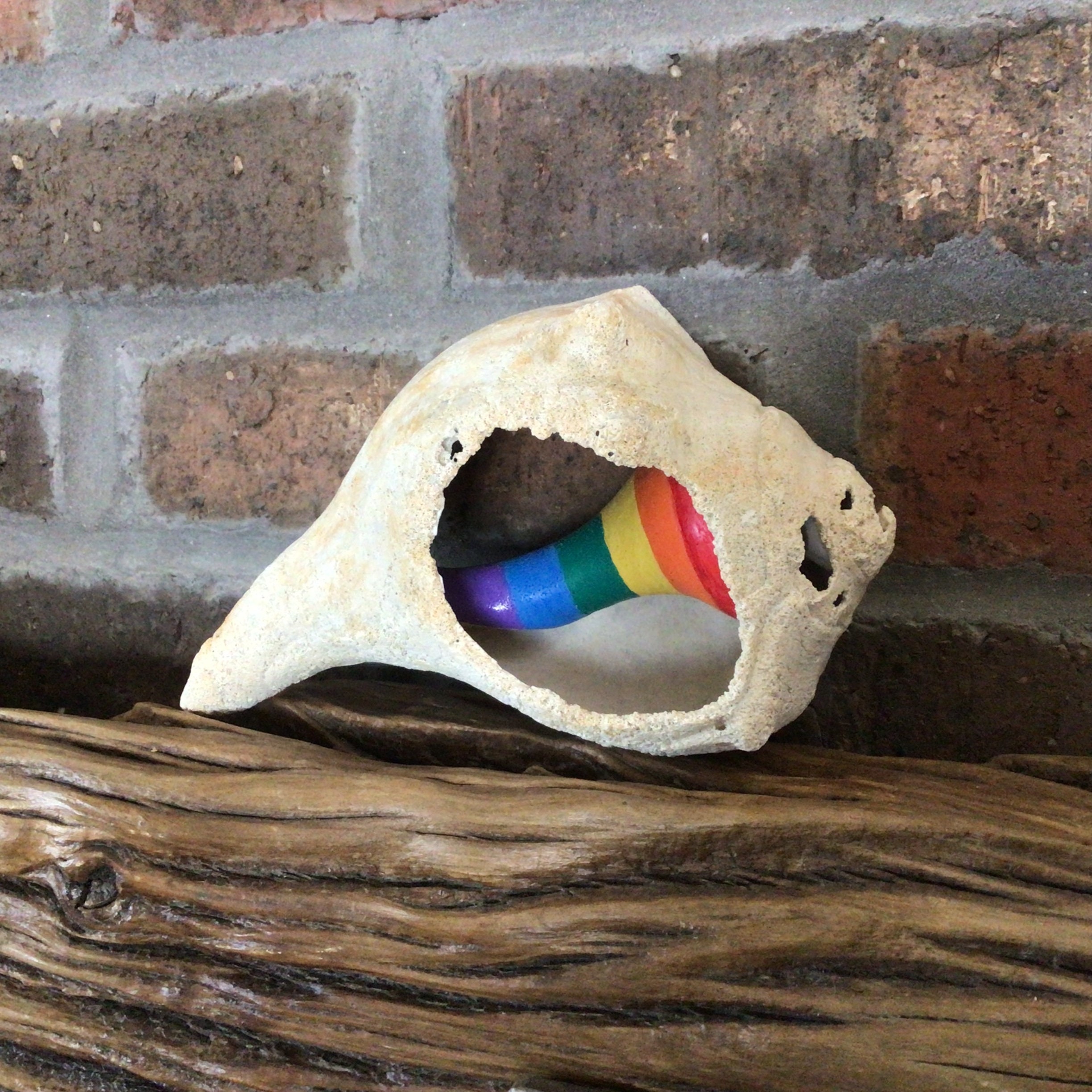 Pride Shell, Coastal Home Decor, Garden Ornament, Florida Art, Beach ...